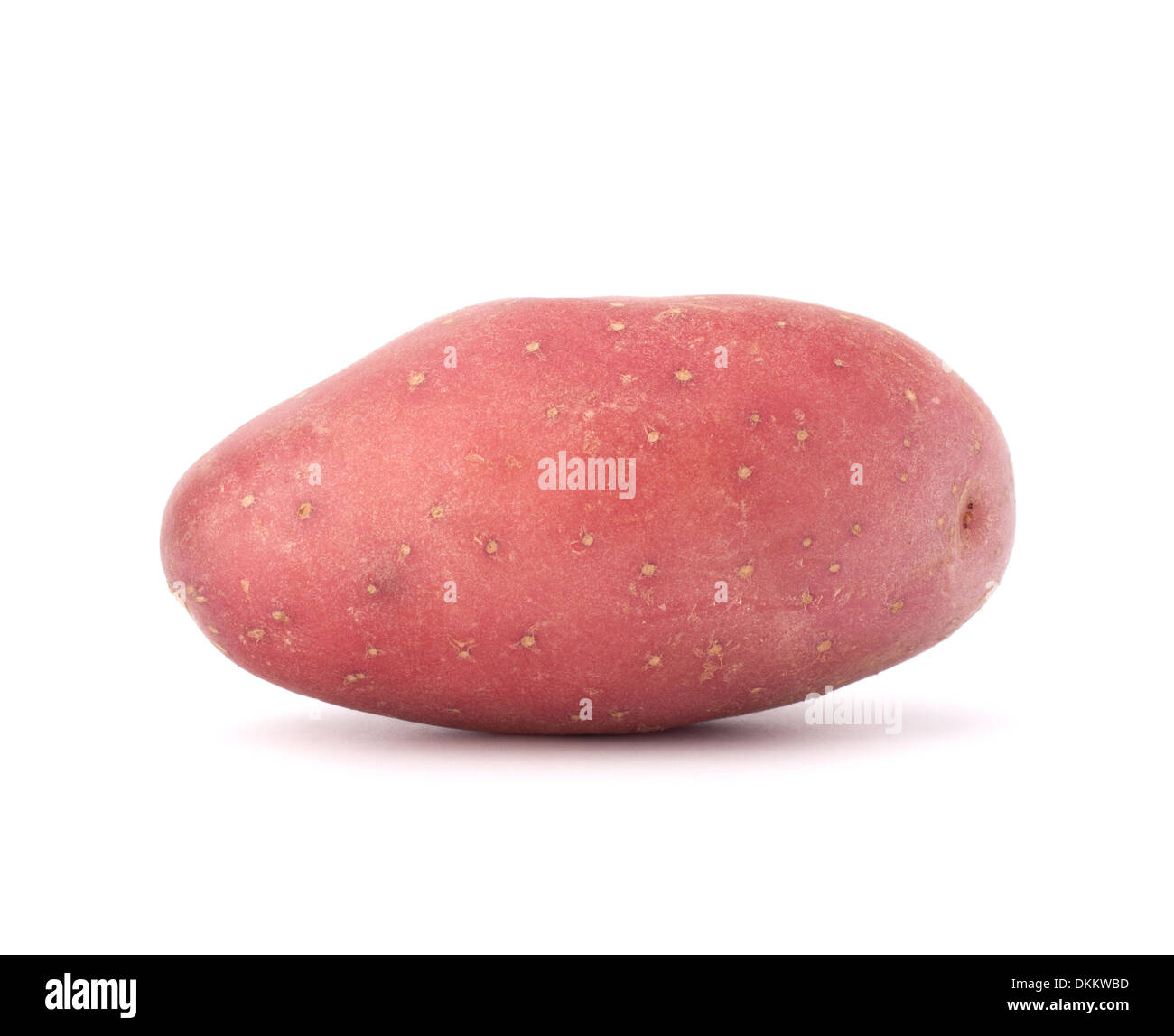New potato tuber isolated on white background cutout Stock Photo - Alamy
