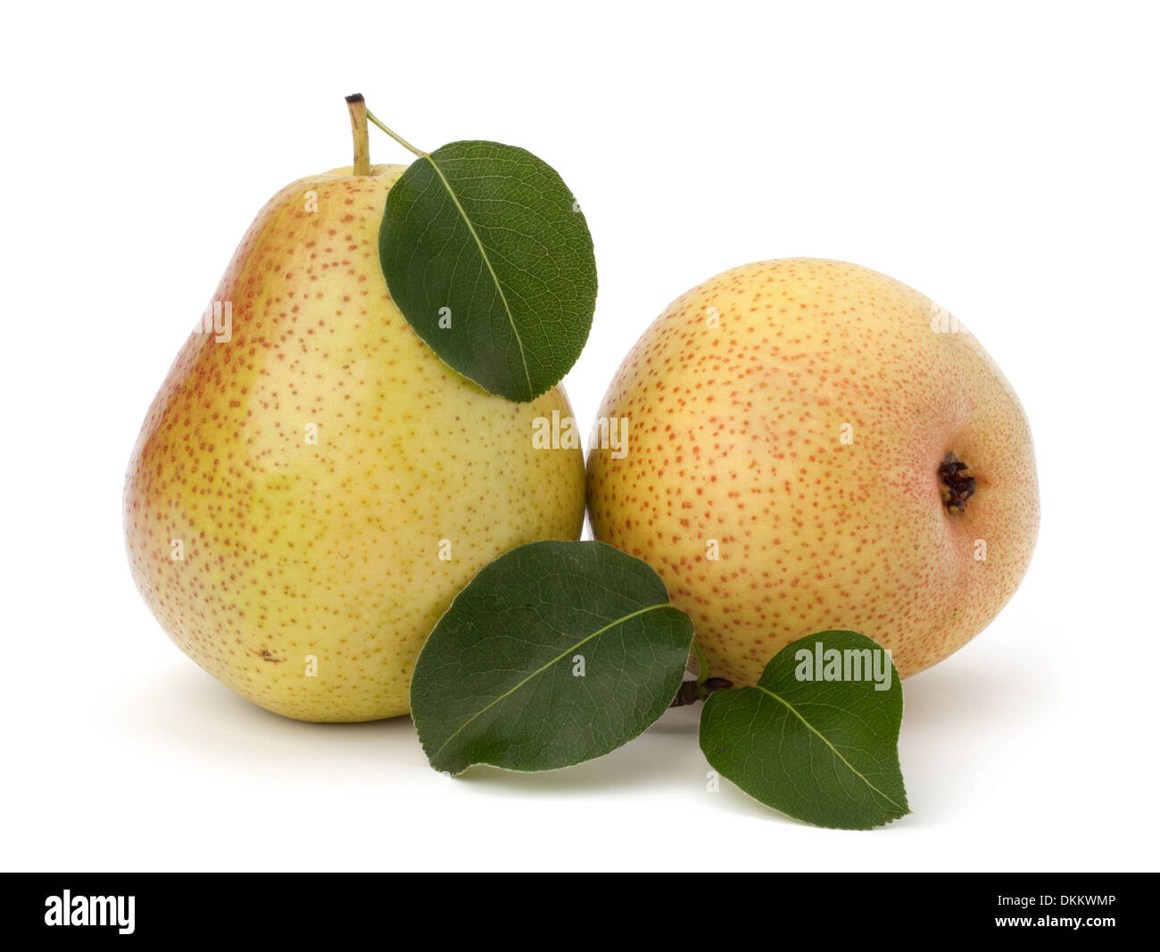 Pear fruits isolated on white background Stock Photo - Alamy