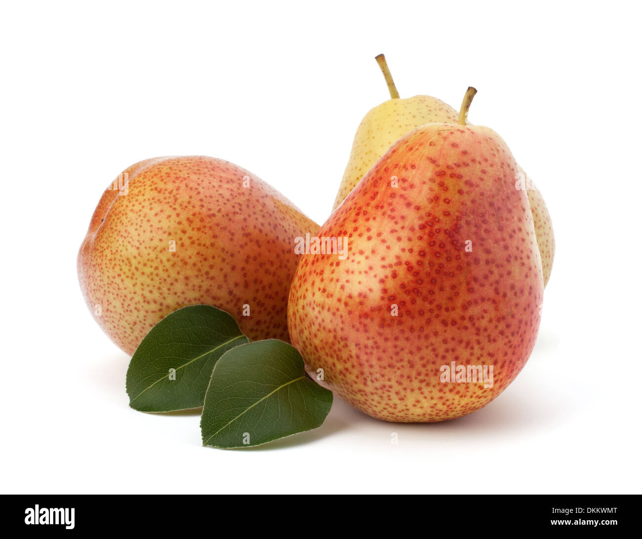 Pear fruits isolated on white background Stock Photo - Alamy