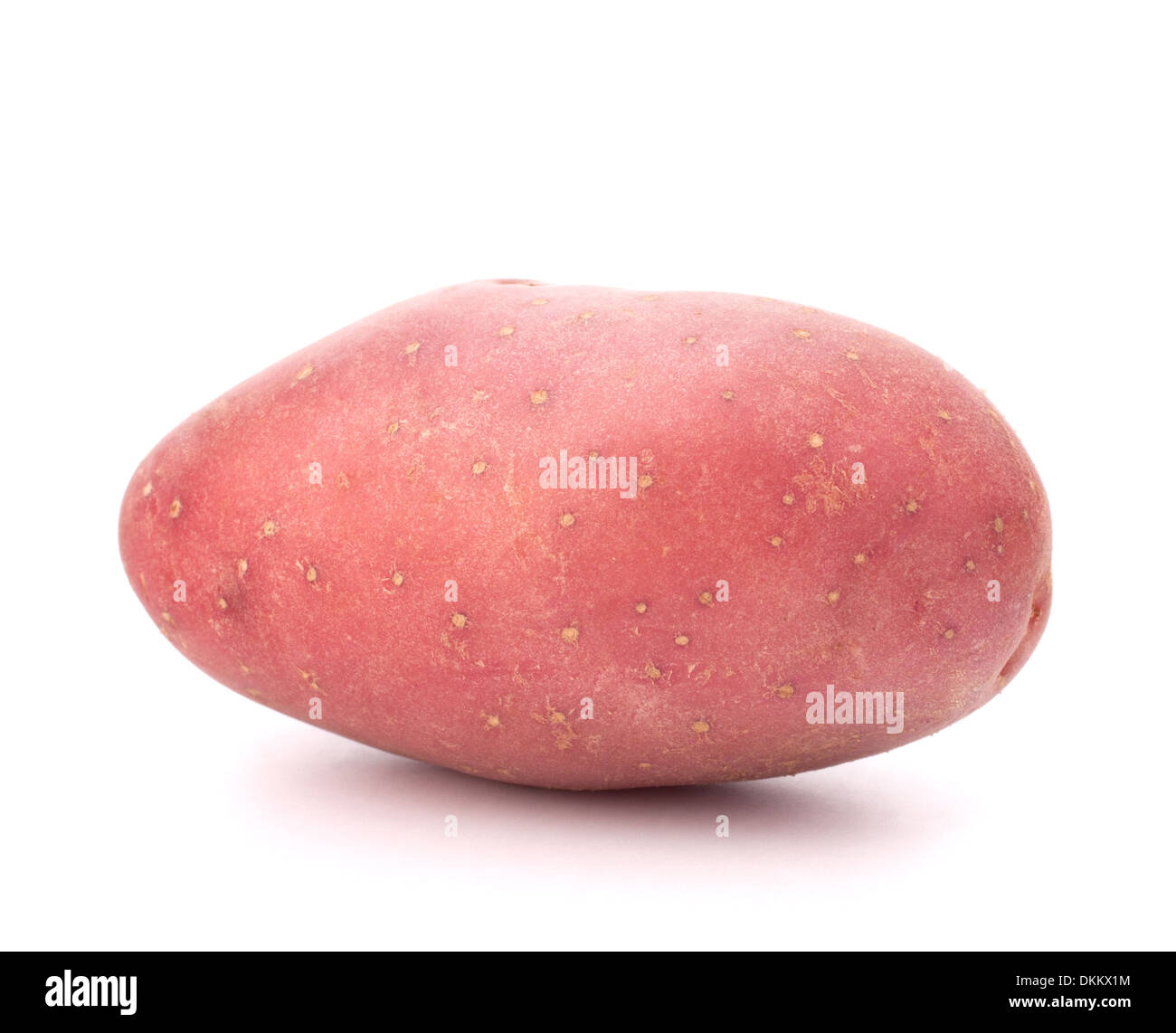 New potato tuber isolated on white background cutout Stock Photo - Alamy