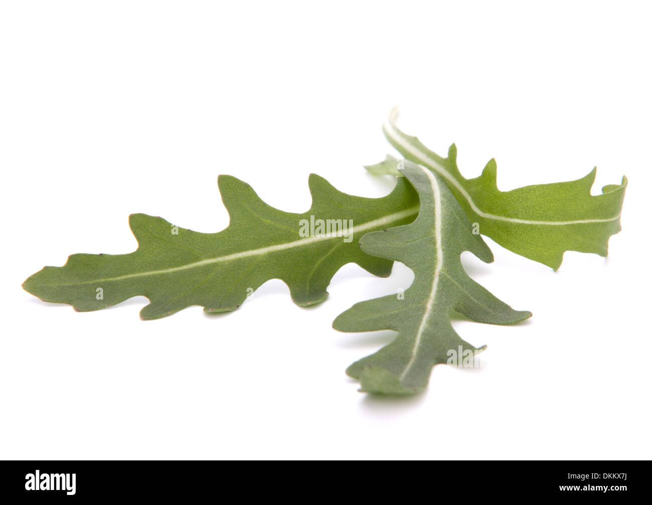 Sweet rucola salad or rocket lettuce leaves isolated on white ...