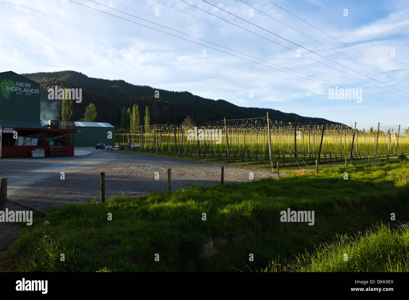 Hops farm hi-res stock photography and images - Alamy