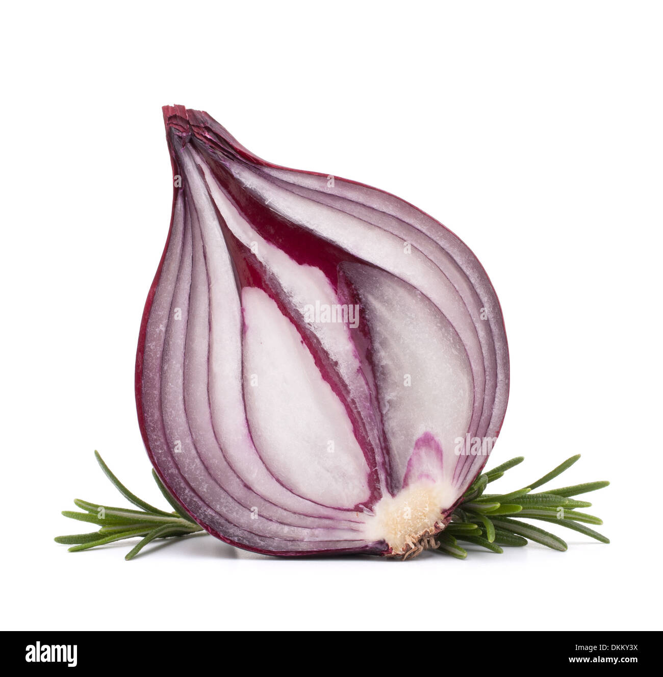 red onion and rosemary leaves still life isolated on white background ...