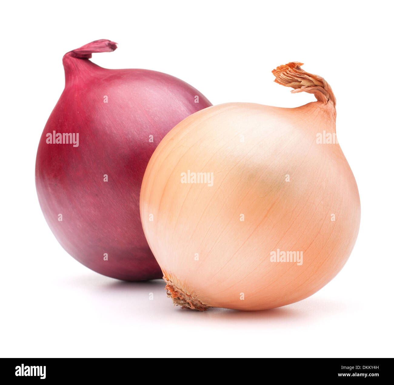 Red spring onion Cut Out Stock Images & Pictures - Alamy