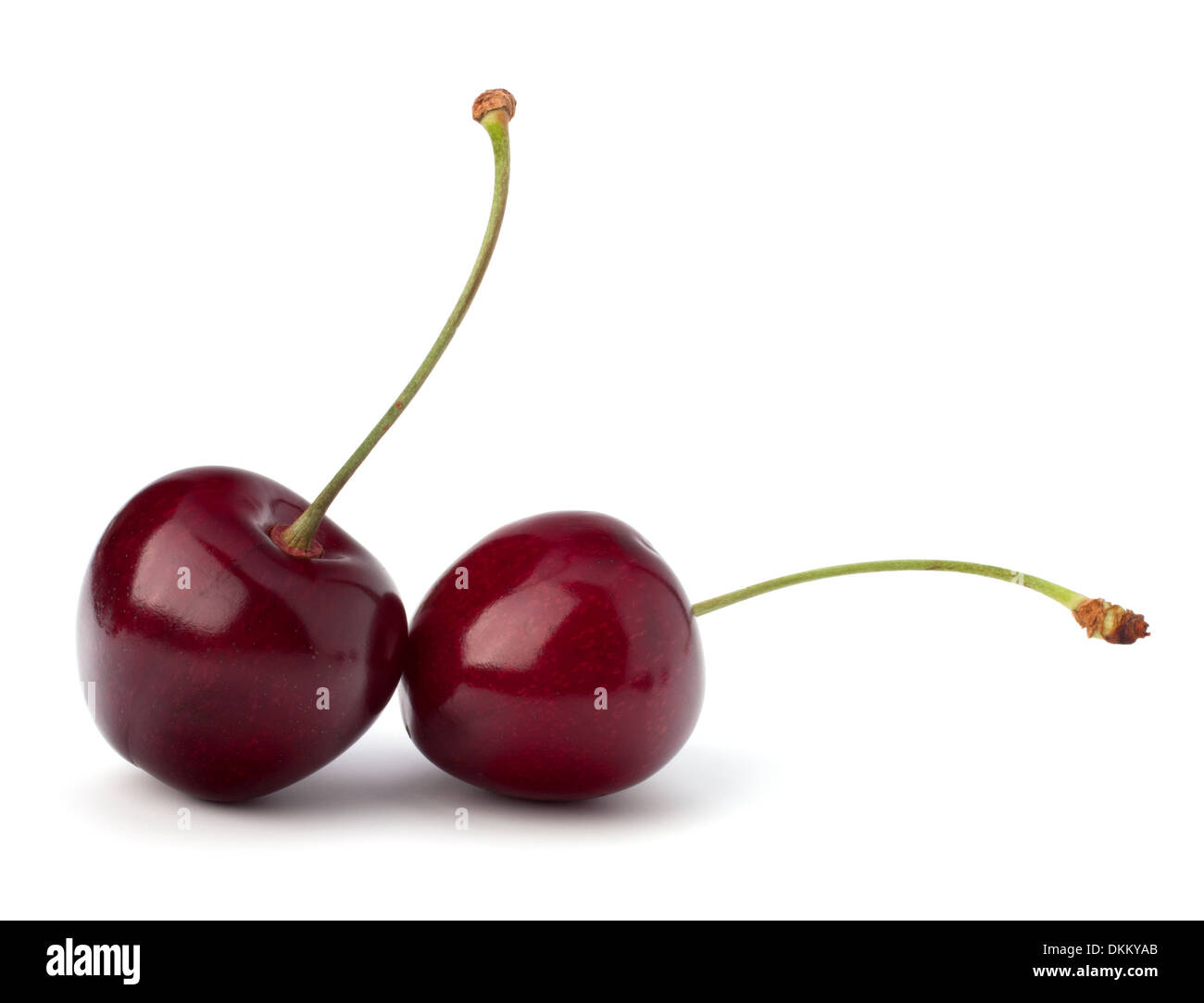 Two cherry berries isolated on white background Stock Photo - Alamy