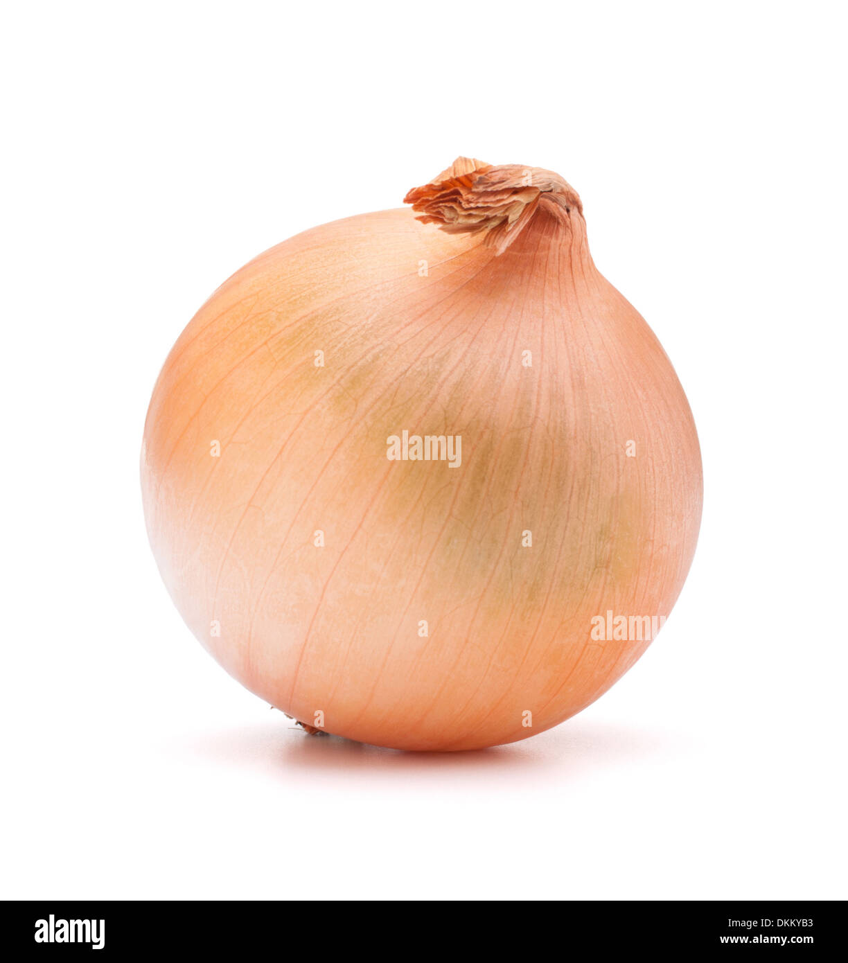 gold onion bulb on white background cutout Stock Photo - Alamy