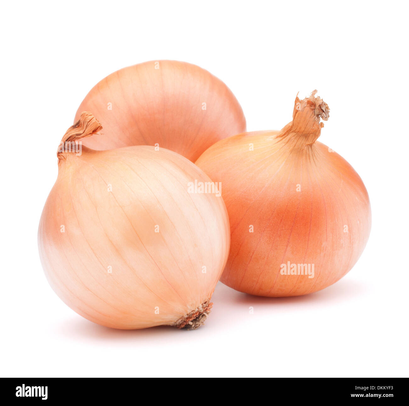 Gold onion vegetable bulbs on white background cutout Stock Photo - Alamy