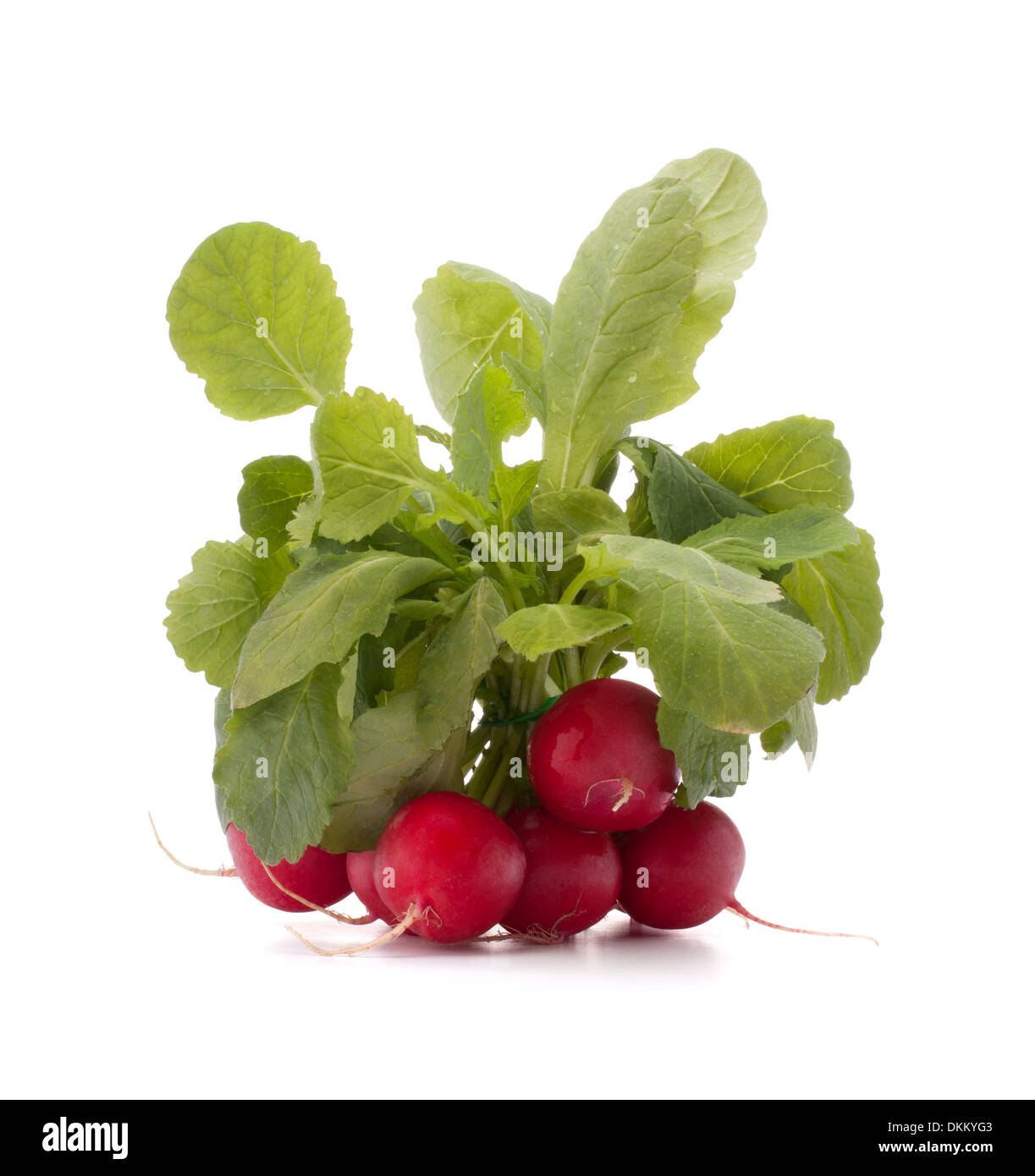 Small garden radish with leaves isolated on white background cutout ...
