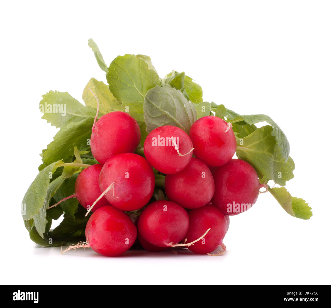 Small garden radish with leaves isolated on white background cutout ...