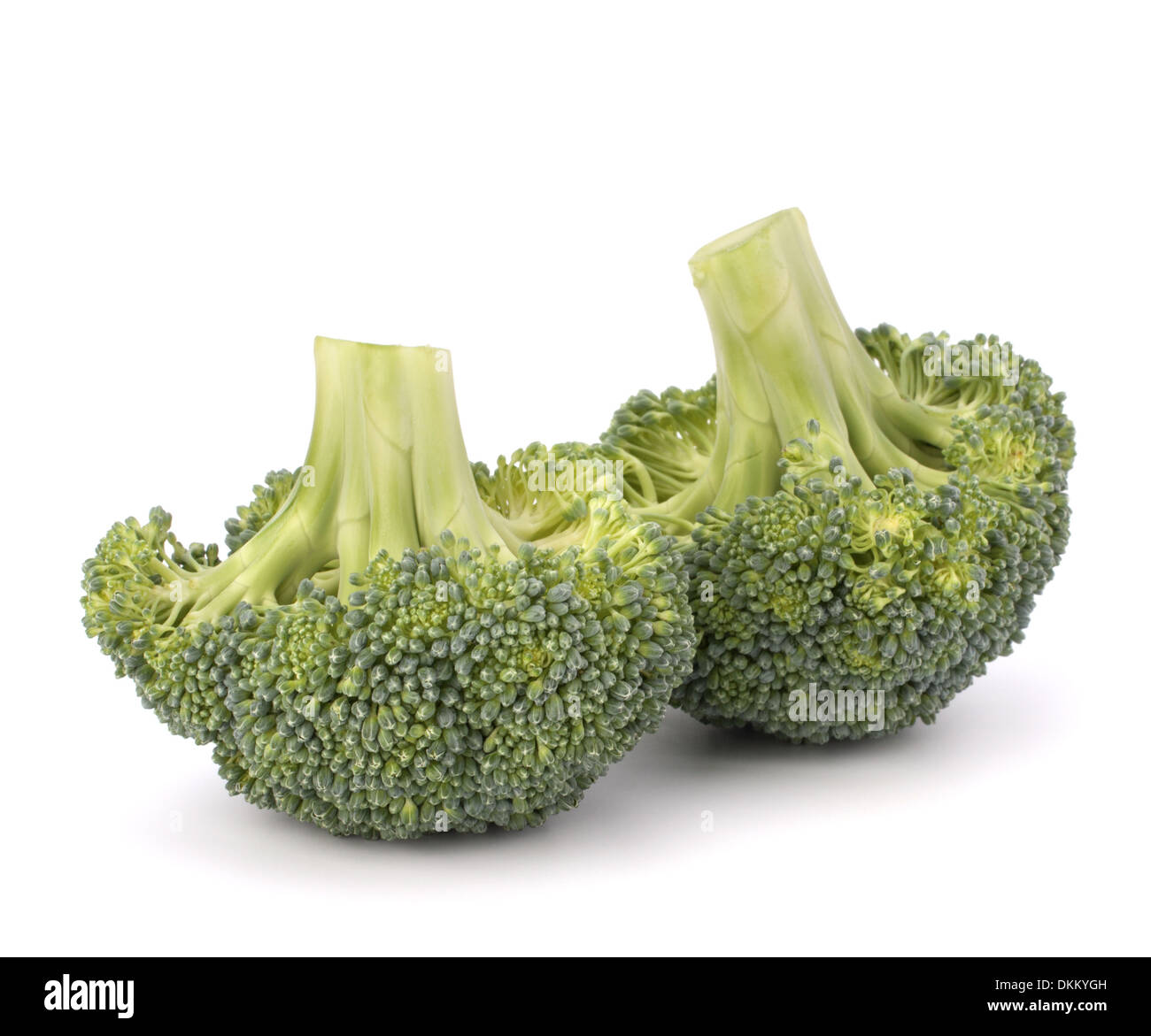 Broccoli vegetable isolated on white background Stock Photo - Alamy