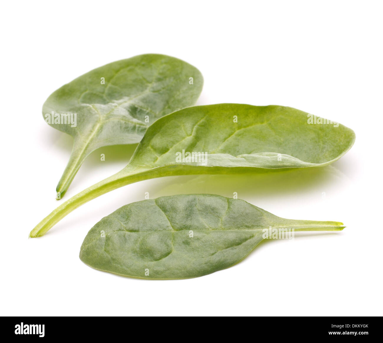 Spinach vegetables isolated on white background cutout Stock Photo - Alamy