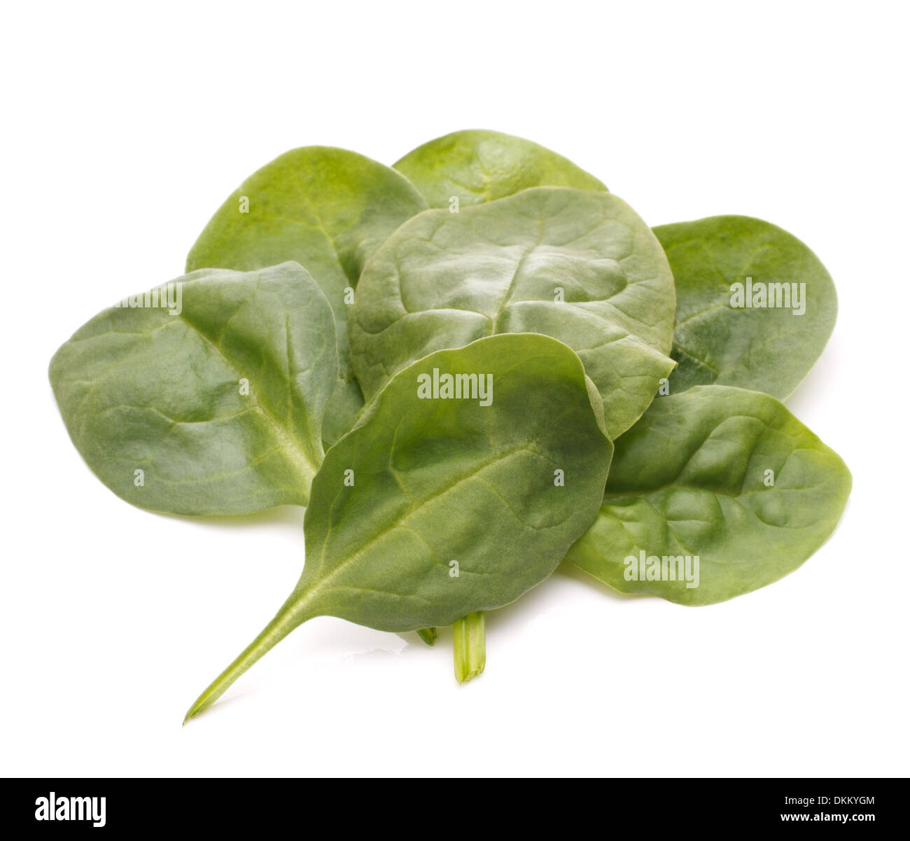 Spinach vegetables isolated on white background cutout Stock Photo - Alamy