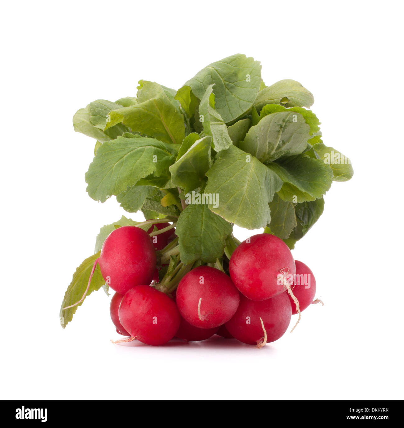 Small garden radish with leaves isolated on white background cutout ...