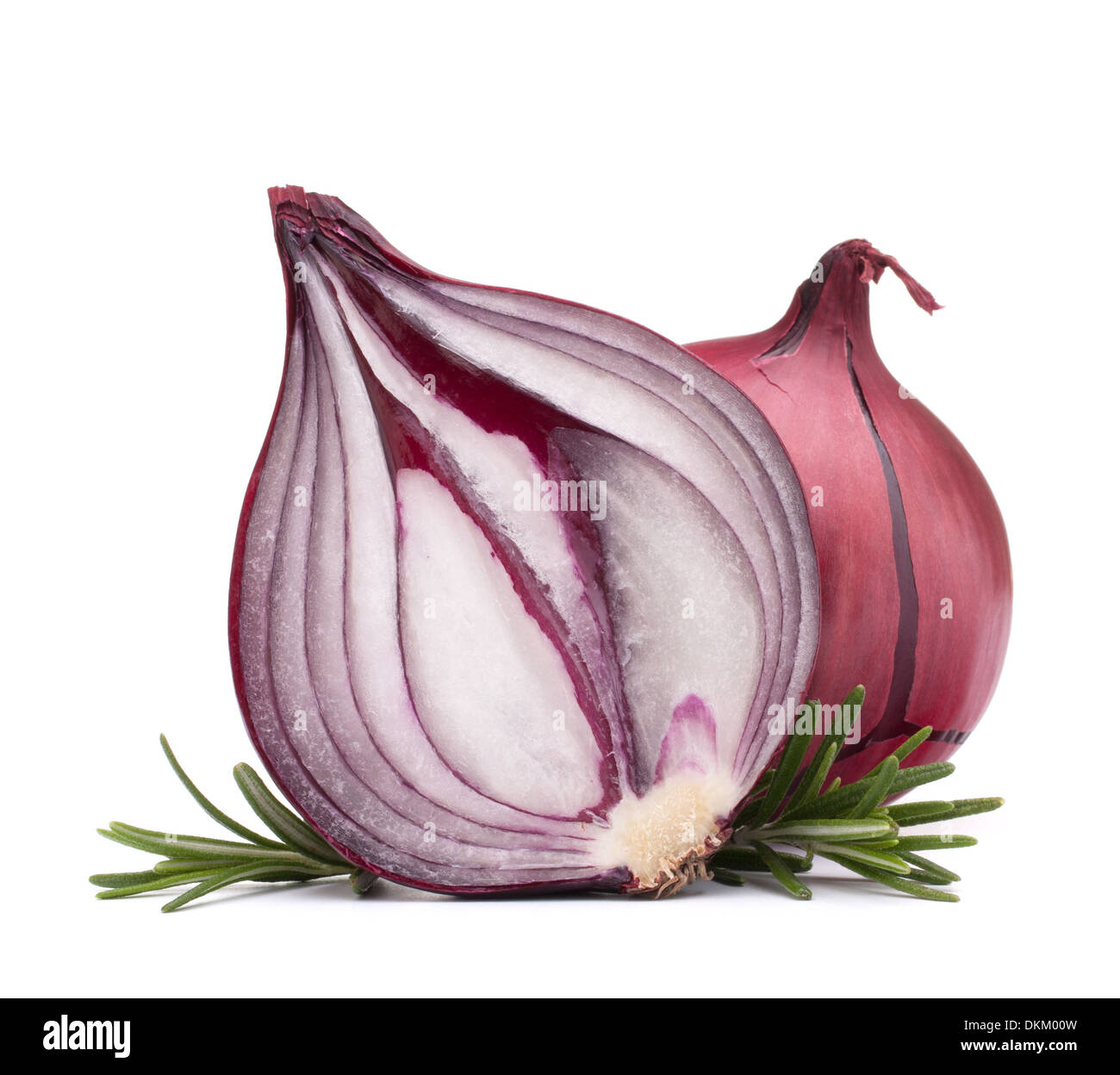red onion and rosemary leaves still life isolated on white background ...