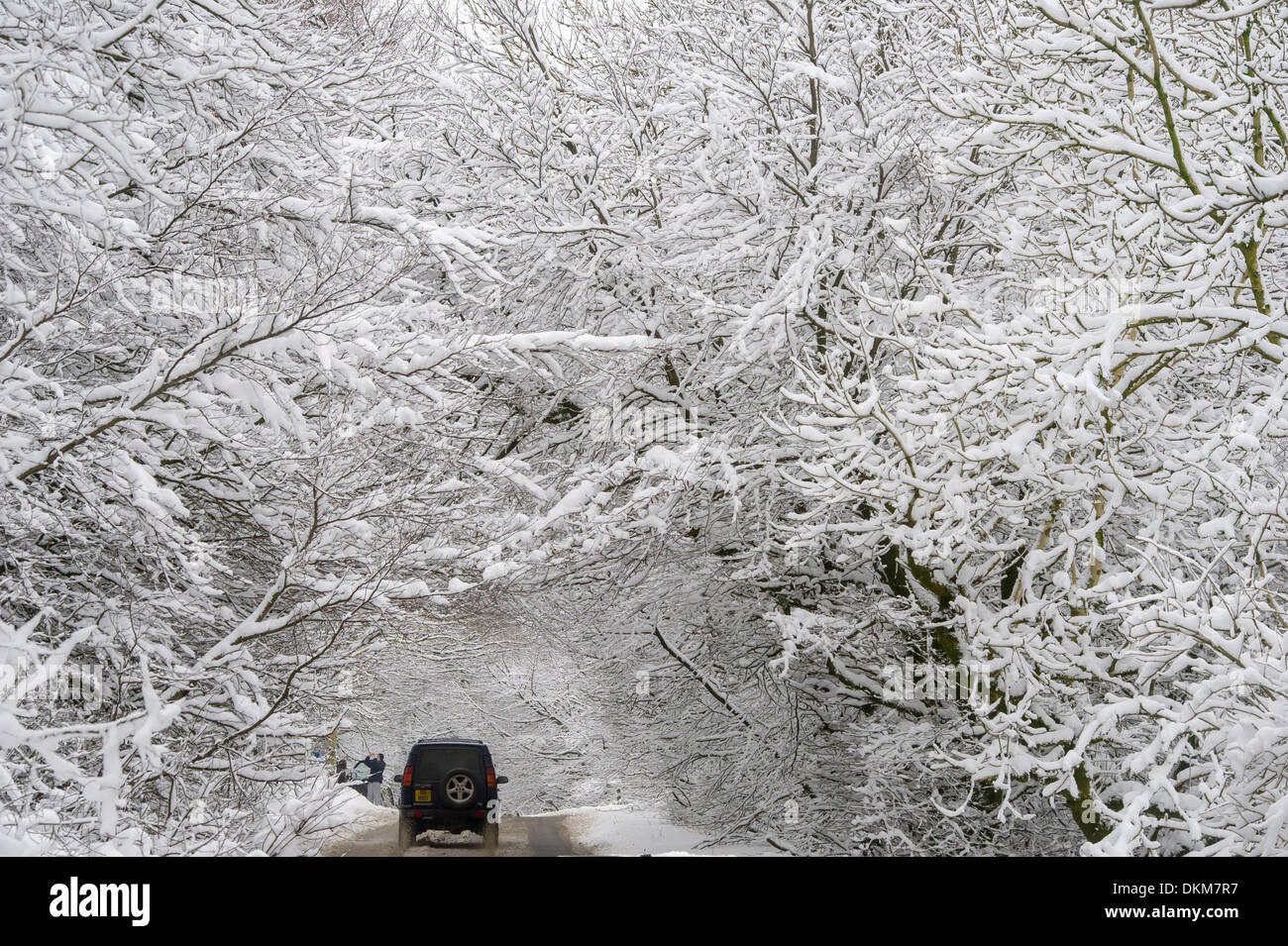 Cars drive under highway hi-res stock photography and images - Alamy