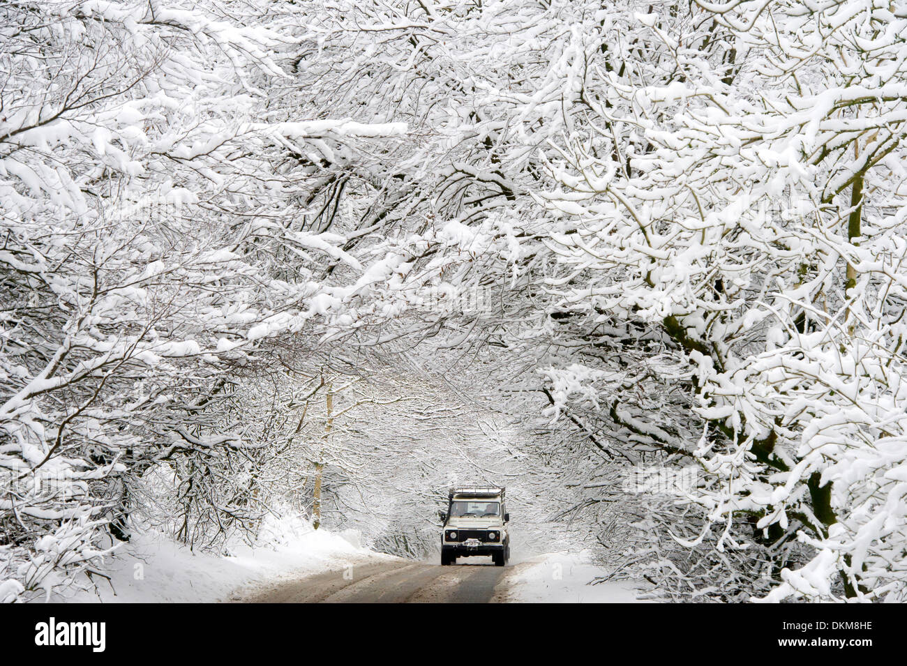 A 4x4 Land Rover drives under snow laden trees on Exmoor in winter, UK ...
