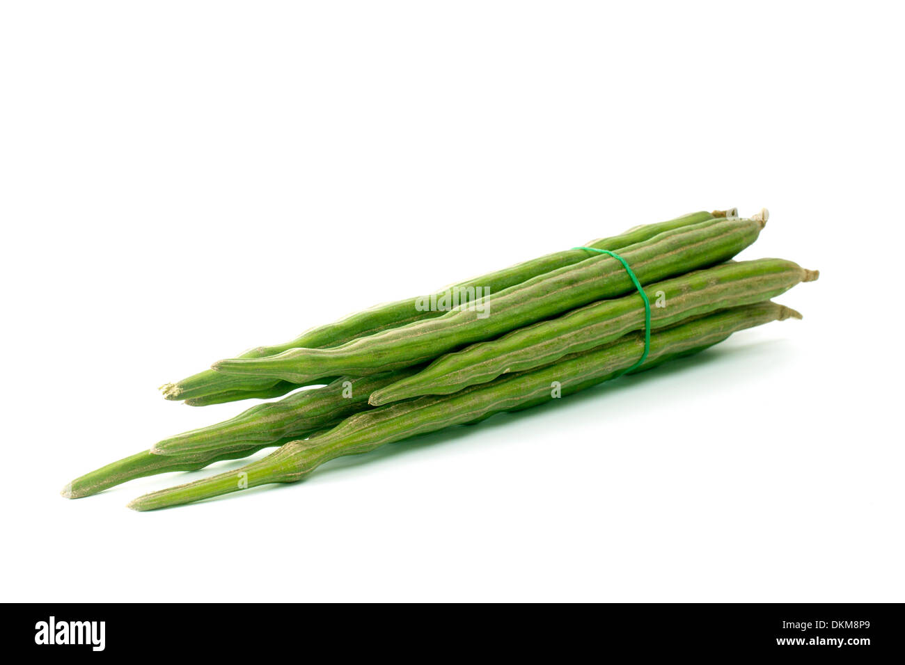 India moringa oleifera hi-res stock photography and images - Alamy