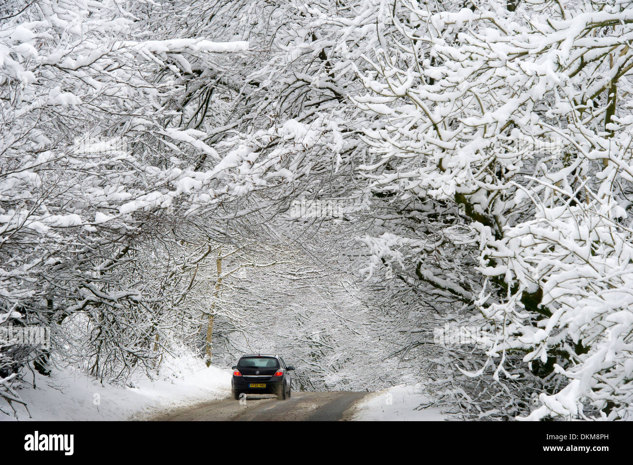 Cars drive under snow laden trees on Exmoor in winter, UK Stock Photo ...