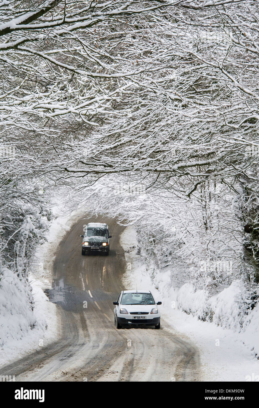 Driving under trees hi-res stock photography and images - Alamy