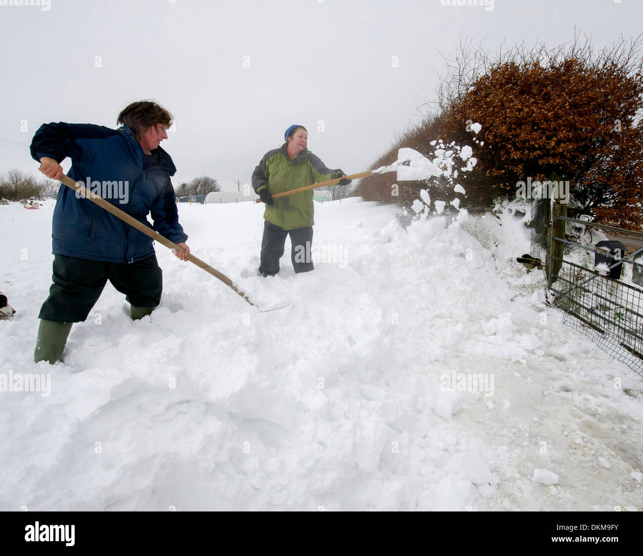 Farmers dig out their snow covered driveway near the village of Bratton ...