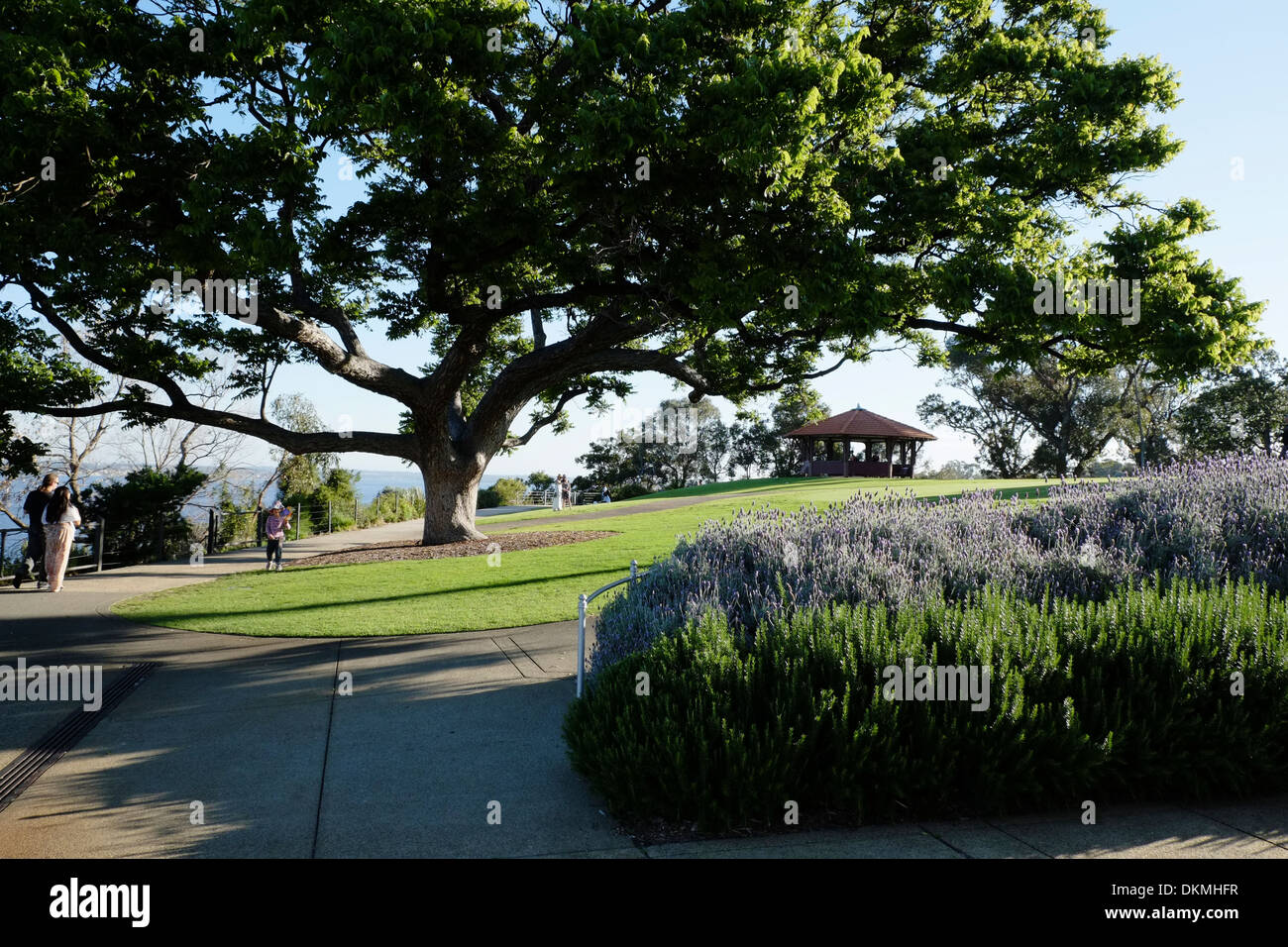 Perth kings park kings parkland hi-res stock photography and images - Alamy