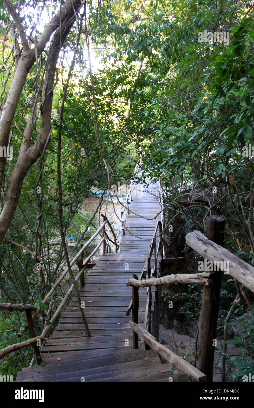 Thailand jungle bridge hi-res stock photography and images - Alamy