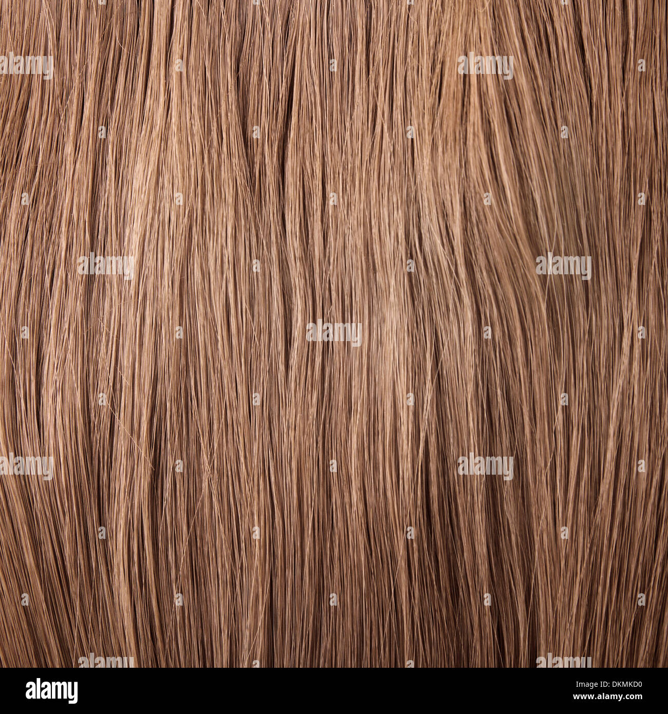Light Brown Hair background Stock Photo - Alamy