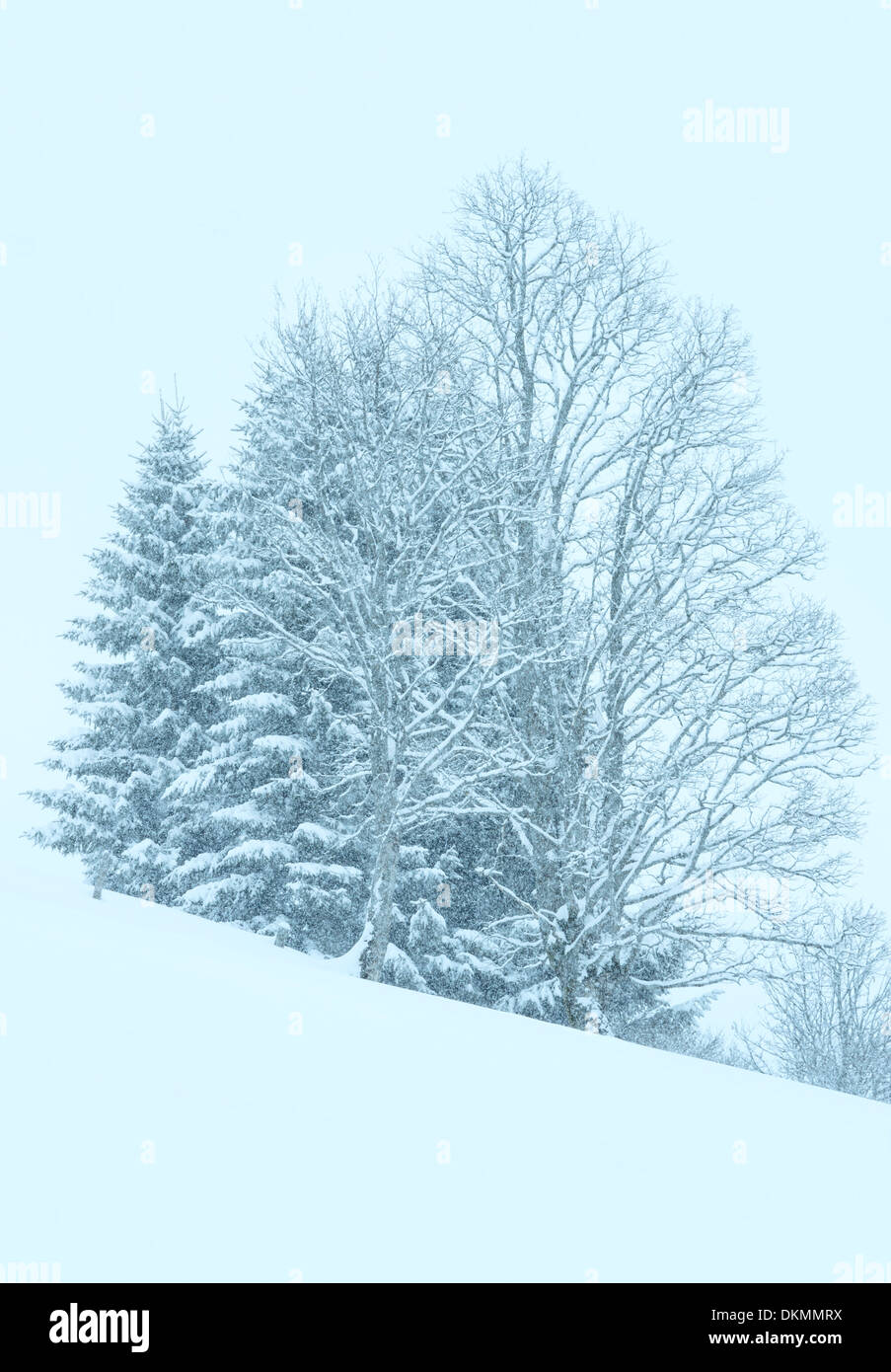 Snowfall landscape hi-res stock photography and images - Alamy