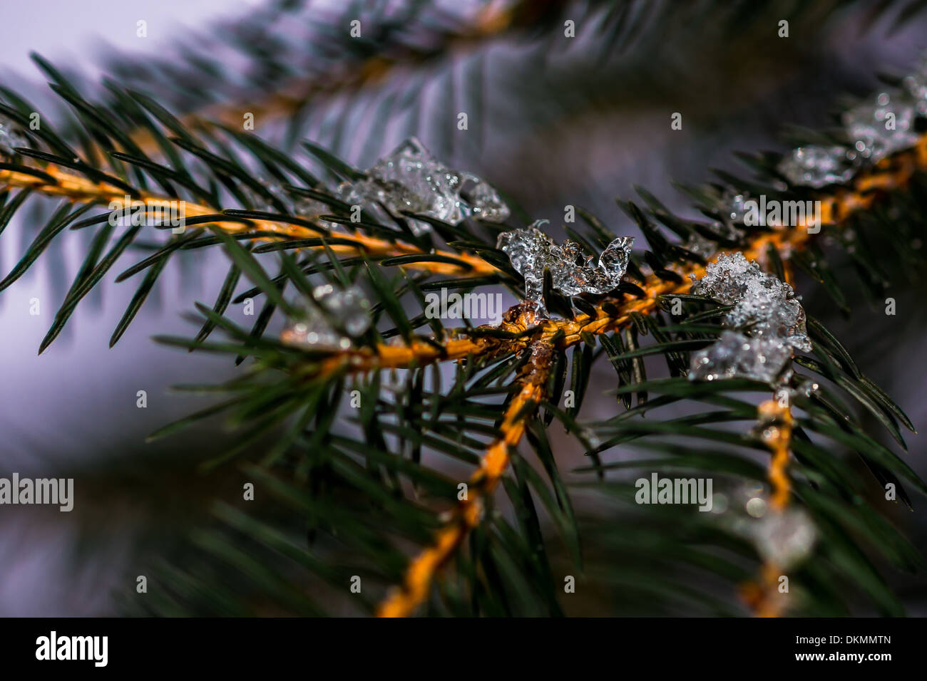 Diamond is forever poster hi-res stock photography and images - Alamy