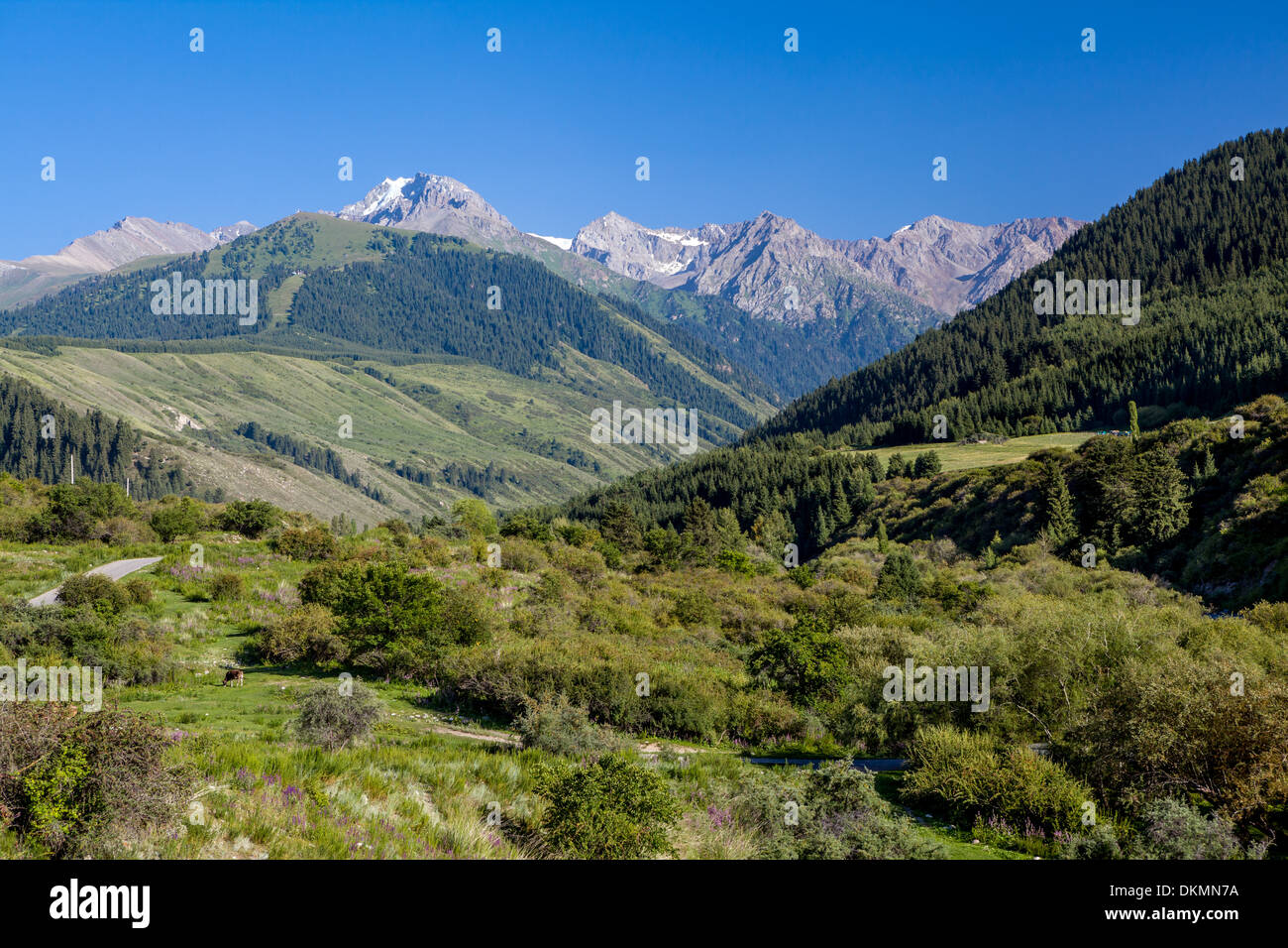 Landscape of high Tien Shan mountains Stock Photo - Alamy
