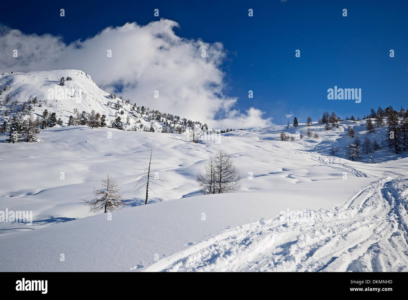 Back country ski tracks in scenic winter landscape with candid slope ...
