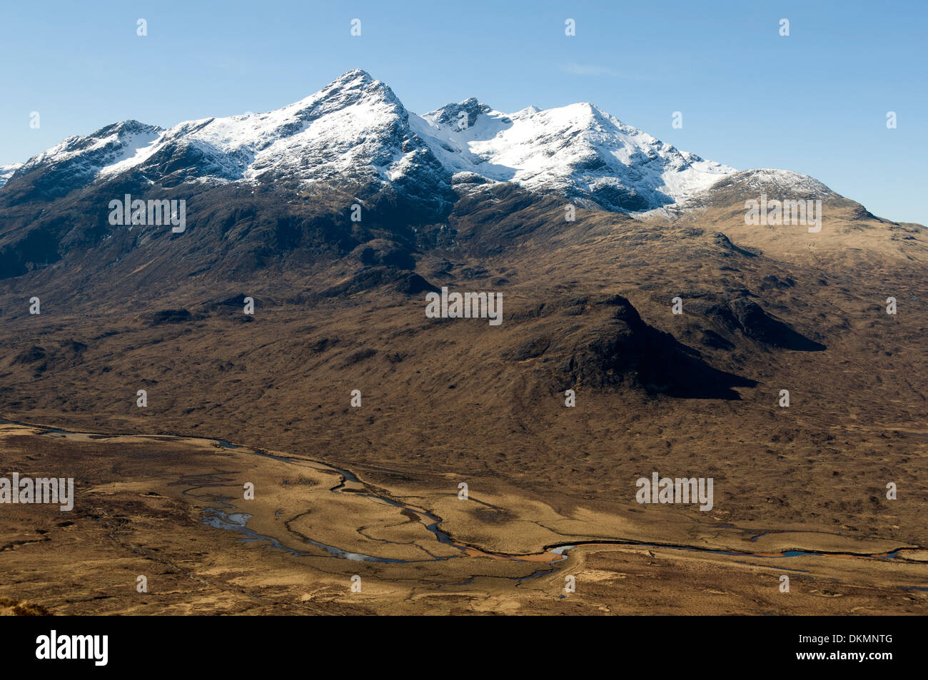 Basteir tooth hi-res stock photography and images - Alamy