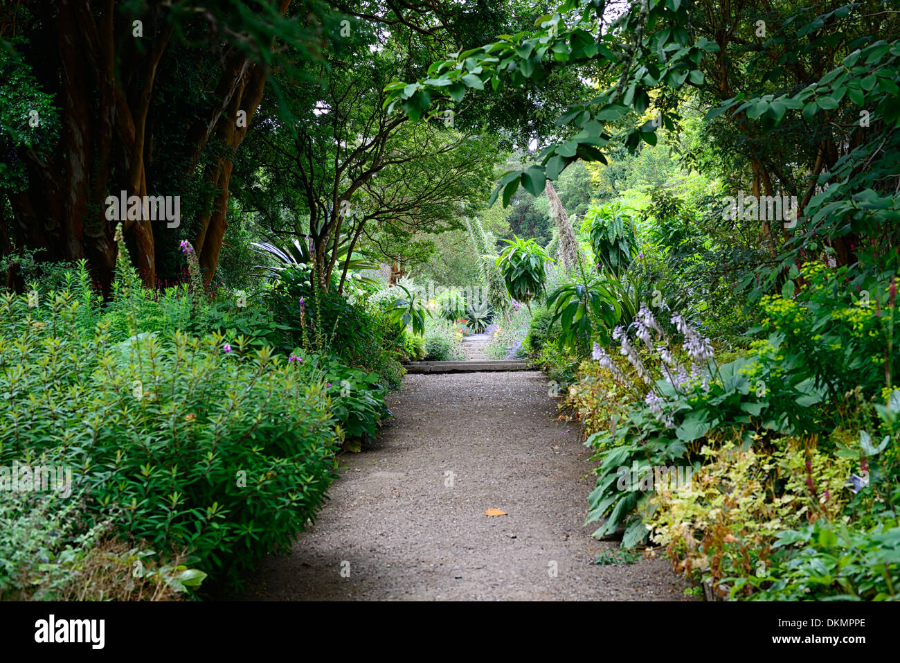 Kilmacurragh botanic gardens hi-res stock photography and images - Alamy