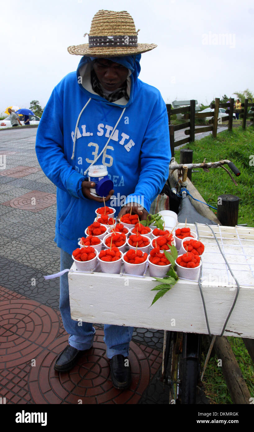 Mauritius raspberry hi-res stock photography and images - Alamy