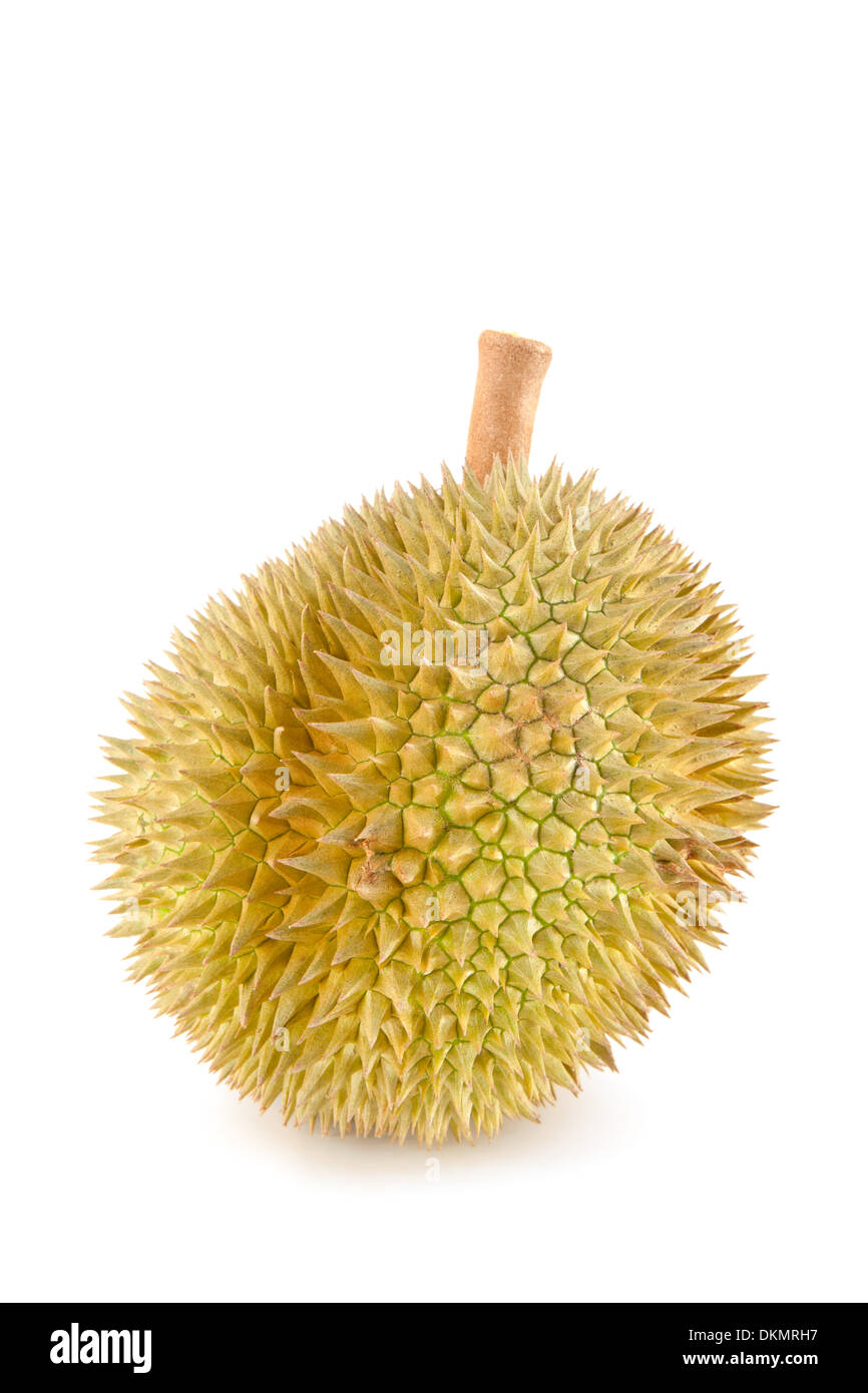 durian close up isolated on white background Stock Photo - Alamy