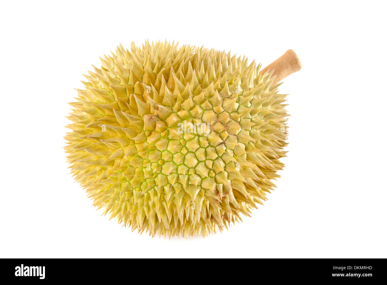 Two durian hi-res stock photography and images - Alamy