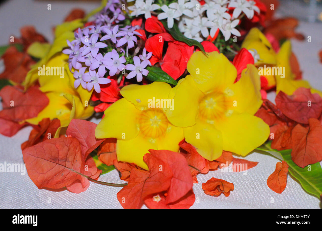 Mauritius Flowers Bouquet Stock Photo - Alamy
