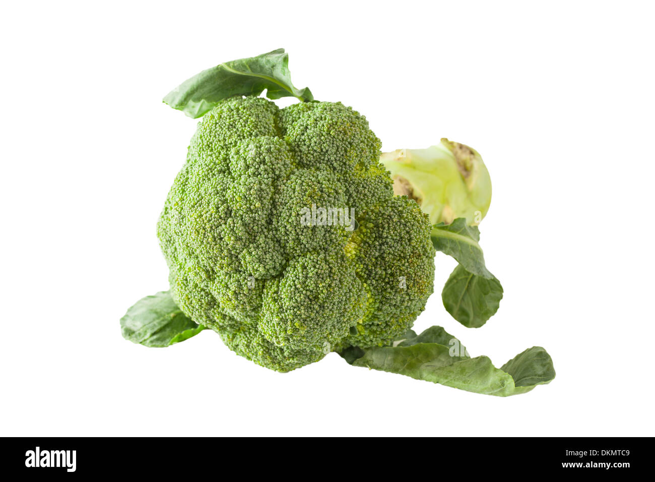 broccoli isolated on white background Stock Photo - Alamy