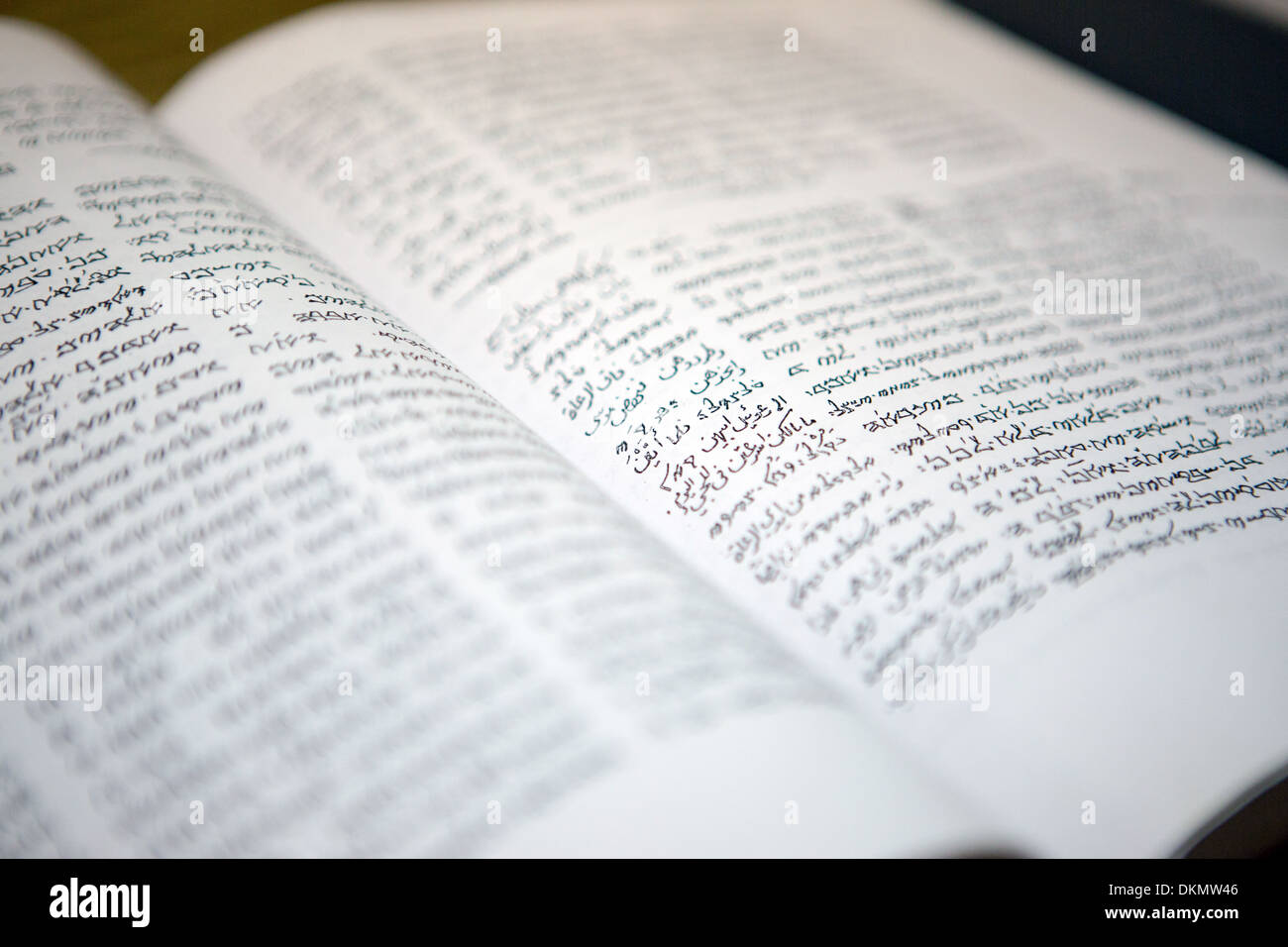 Samaritans Pentateuch book in the Arabic and ancient Hebrew languages ...