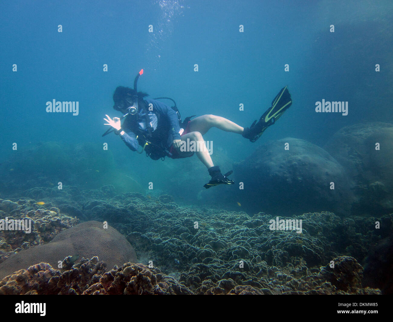 Diving Underwater Okay Stock Photo - Alamy