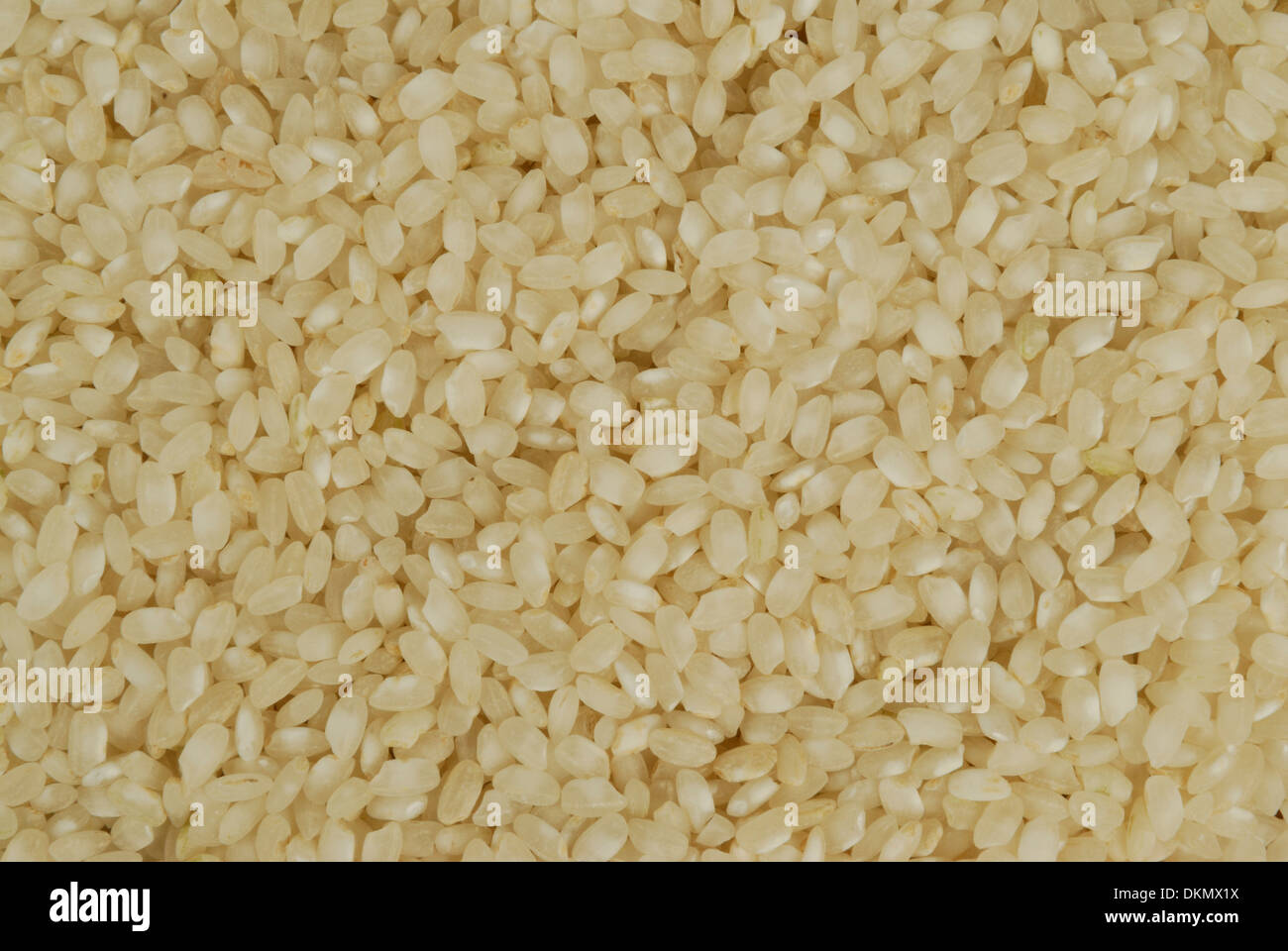 Full frame of white rice Stock Photo - Alamy