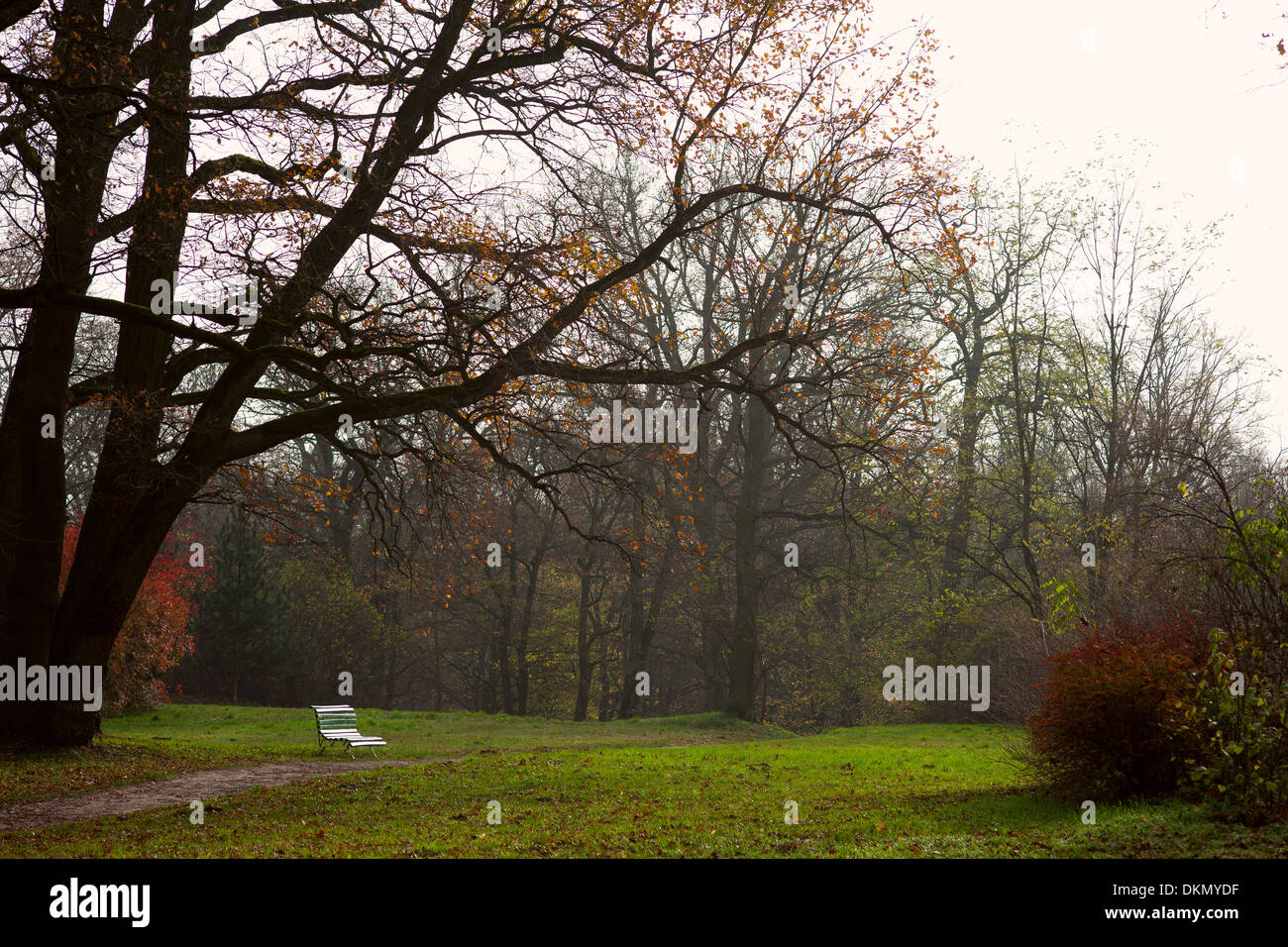 Outdoor landscape park hi-res stock photography and images - Alamy