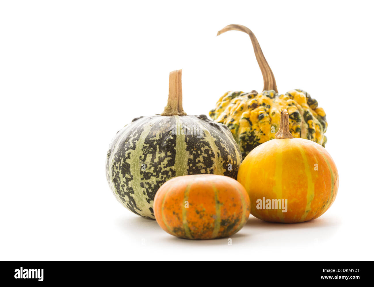 Cute small decorative pumpkins isolated on white Stock Photo - Alamy
