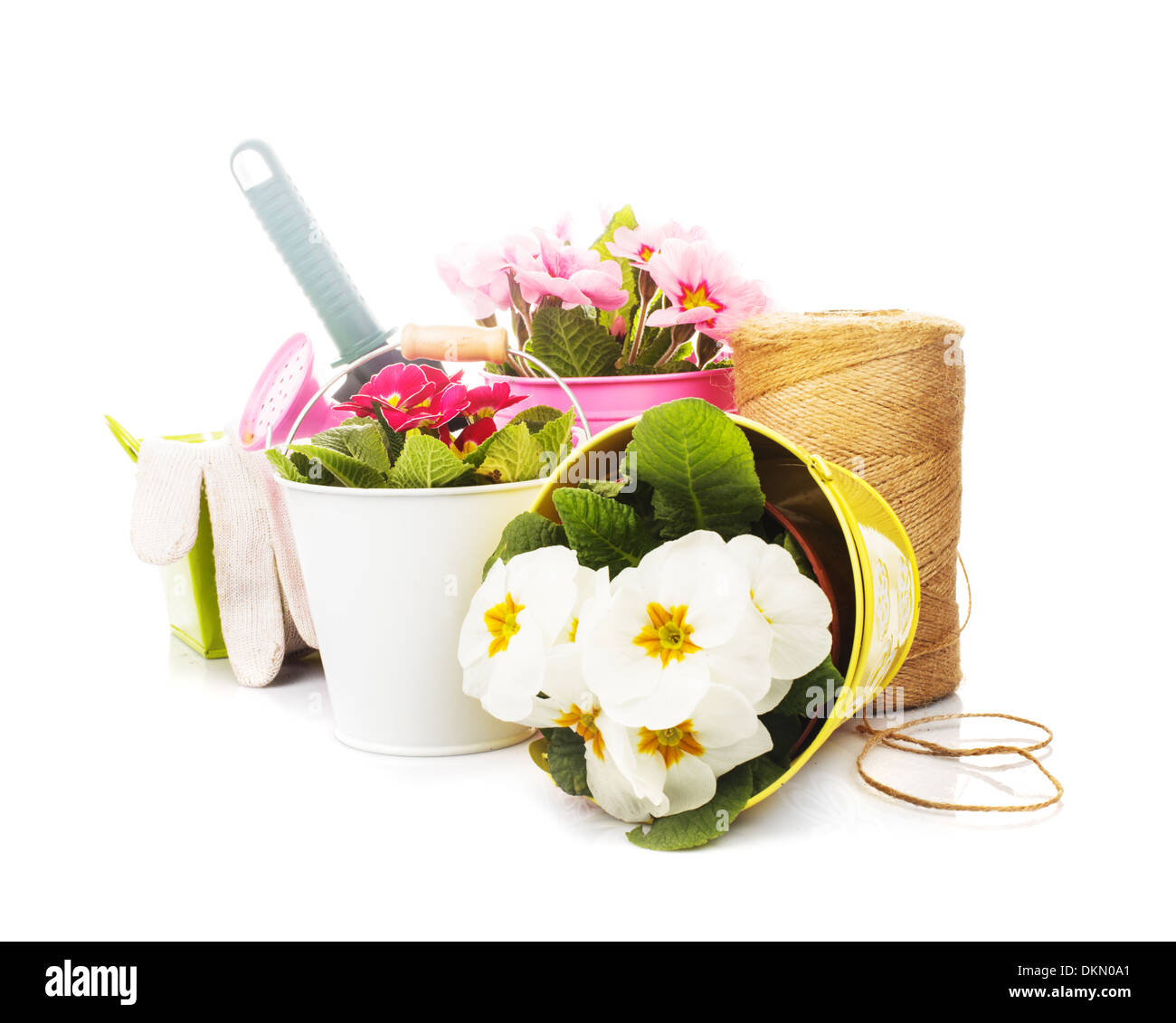 Gloves flower pot soil Cut Out Stock Images & Pictures - Alamy