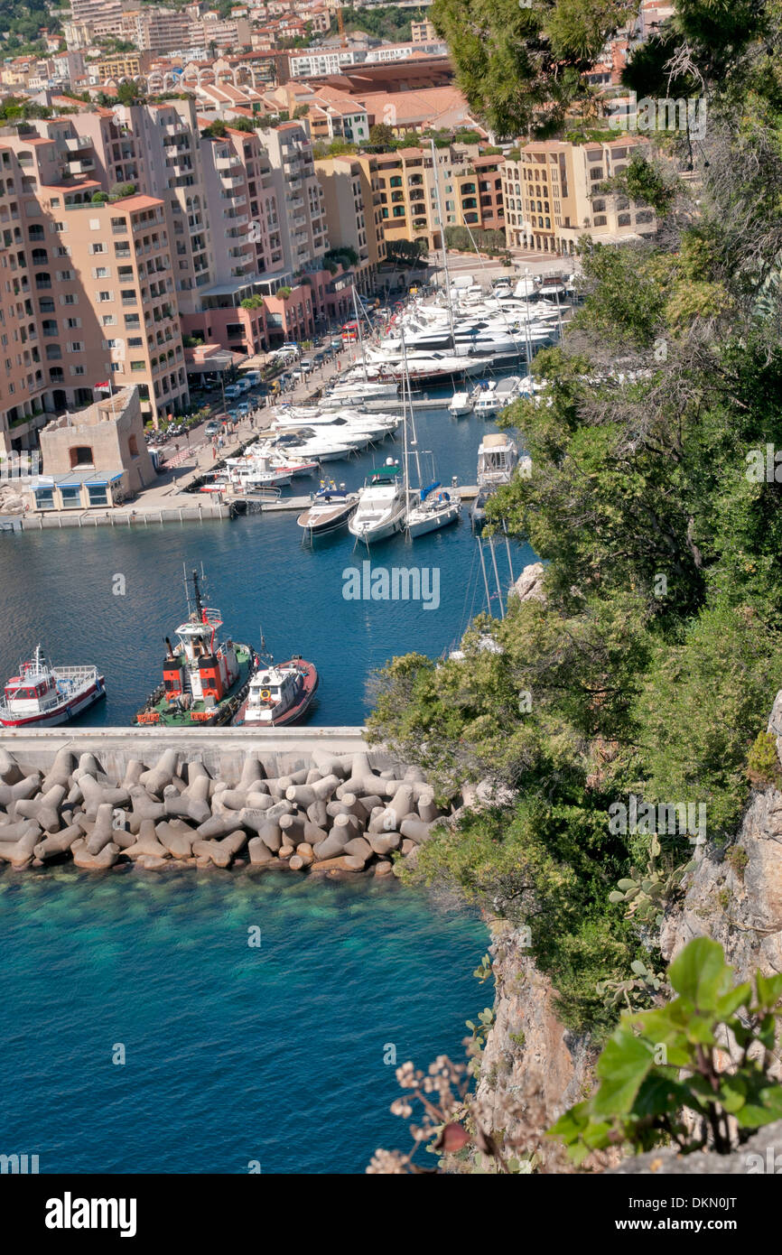 Vertical aerial view of buildings and marina, Monaco, sovereign city ...