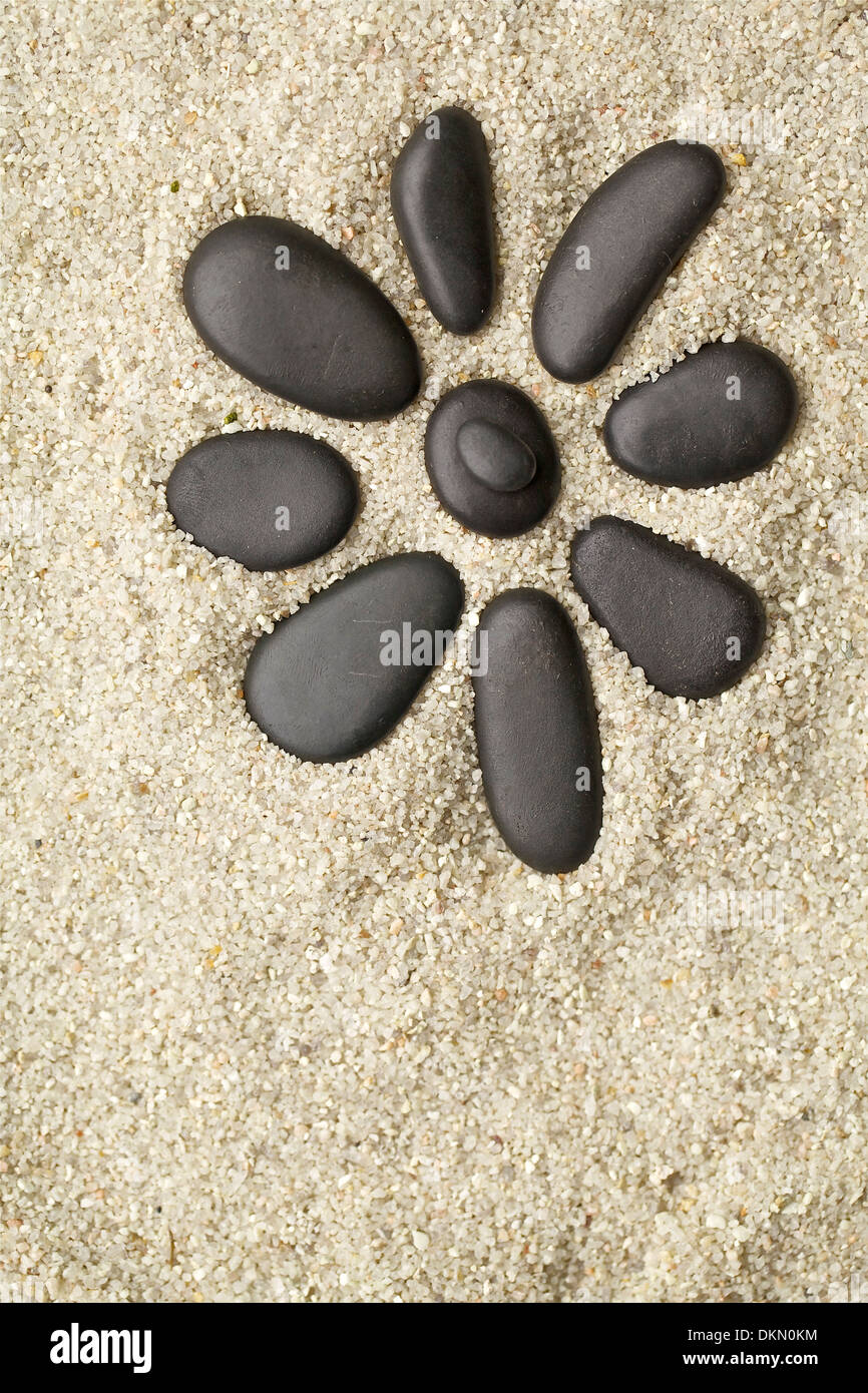 Pebbles flower hi-res stock photography and images - Alamy