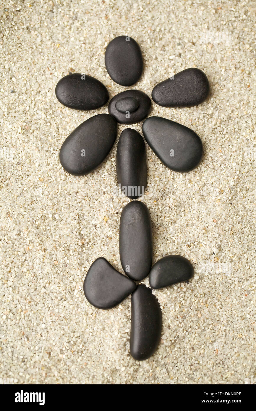 Pebbles flower hi-res stock photography and images - Alamy