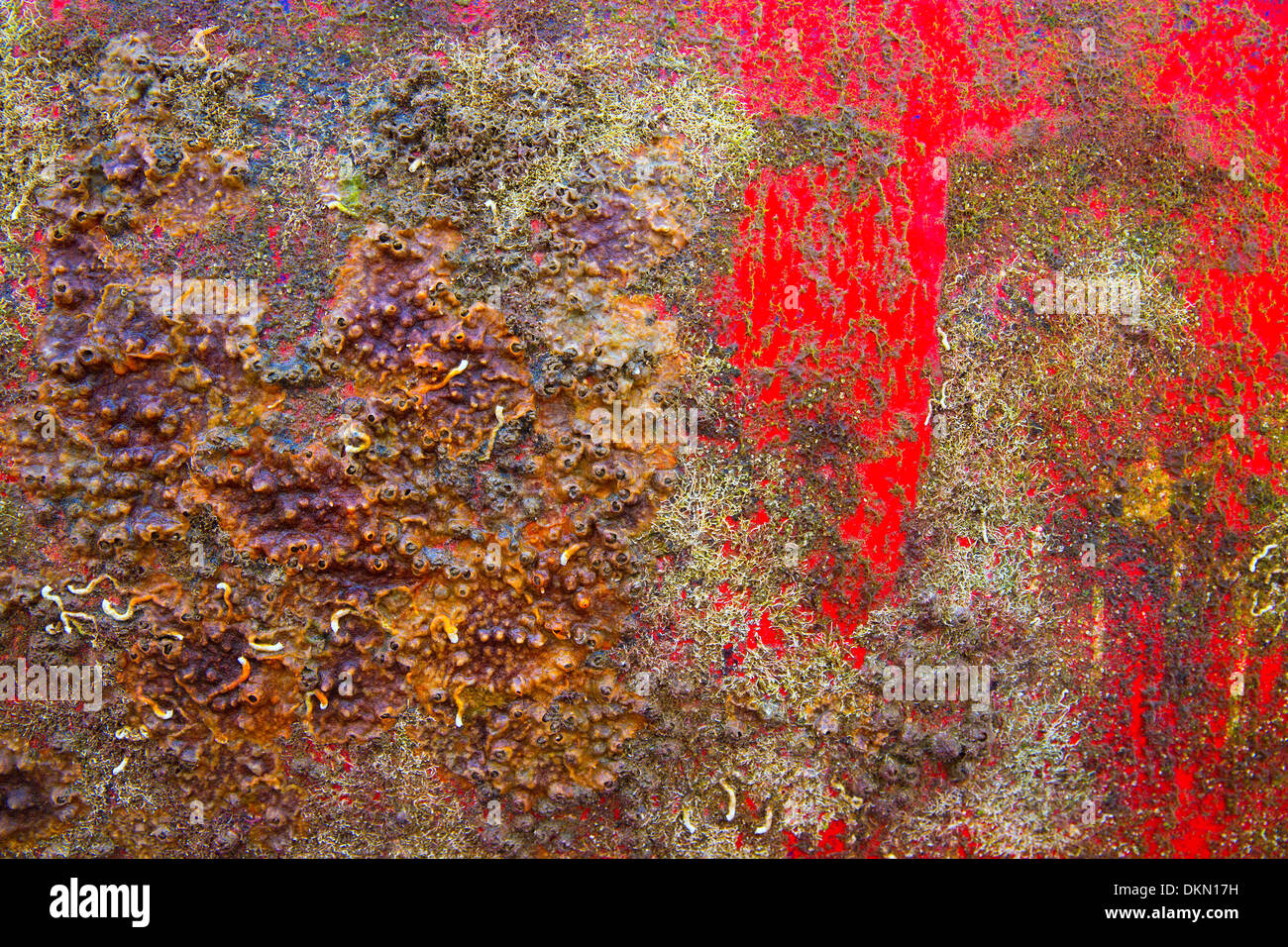 Grunge boat hull background in red and rusty colorful texture Stock ...