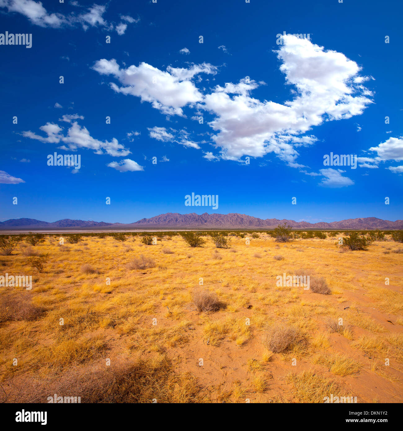 Mohave desert hi-res stock photography and images - Alamy