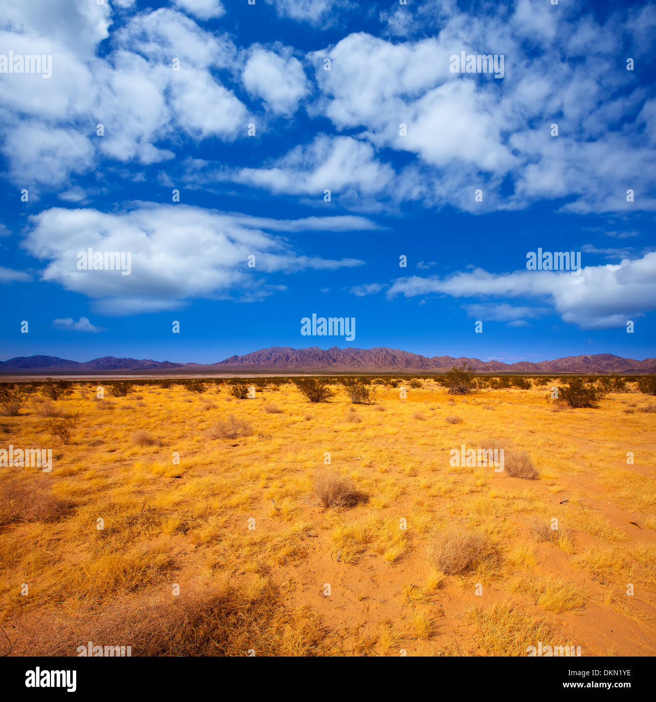 Mohave indian hi-res stock photography and images - Alamy